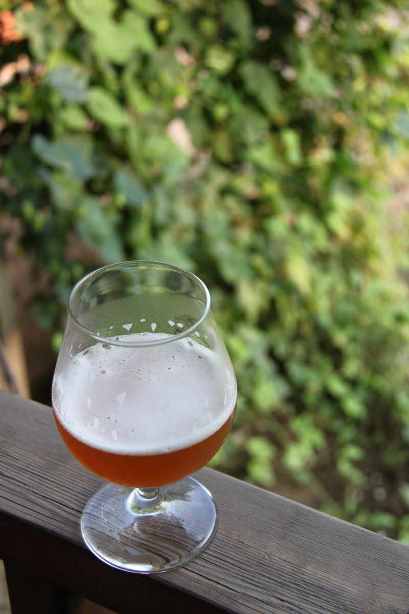Hot Buttered Beer - Hot Cocktails - Hot Beer with spices & butter